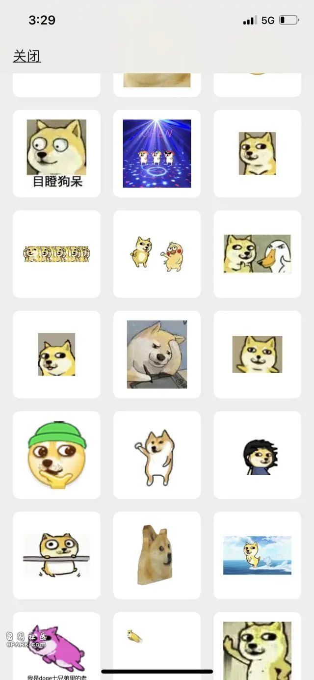 “Doge”表情包原型去世!网友:拜拜狗狗 - 生活百态